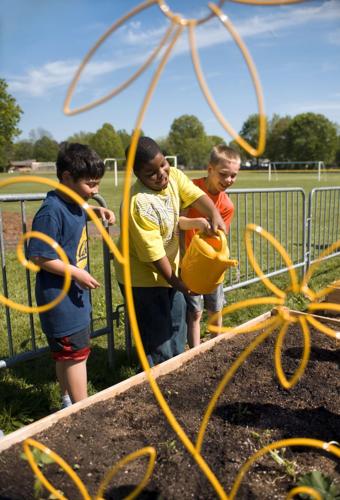 Yankee Ridge garden an educational tool | News | news-gazette.com