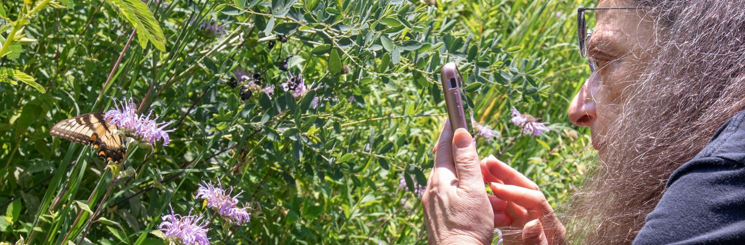 My Campus: Swanlund Chair of Entomology May Berenbaum | News | news ...