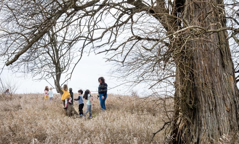 Urbana's Bluestem Hall Nature School adding kindergarten/first-grade ...