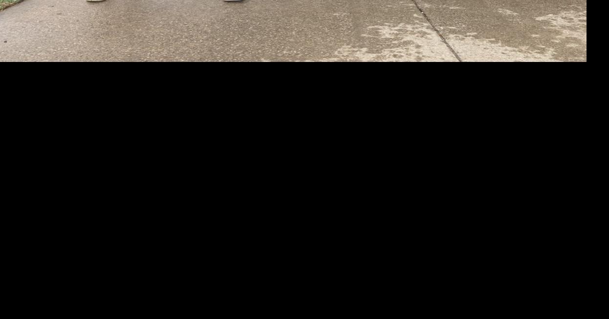 Theresa Meacham | The joy of the unexpected | Columns | news-gazette.com