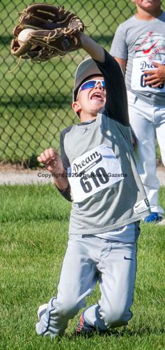 Sports during COVID-19: Champaign Dream prepares for 2021, keeps eye on ...