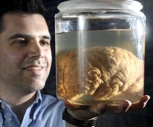 Family Picks: Boneyard Arts and more! | | news-gazette.com