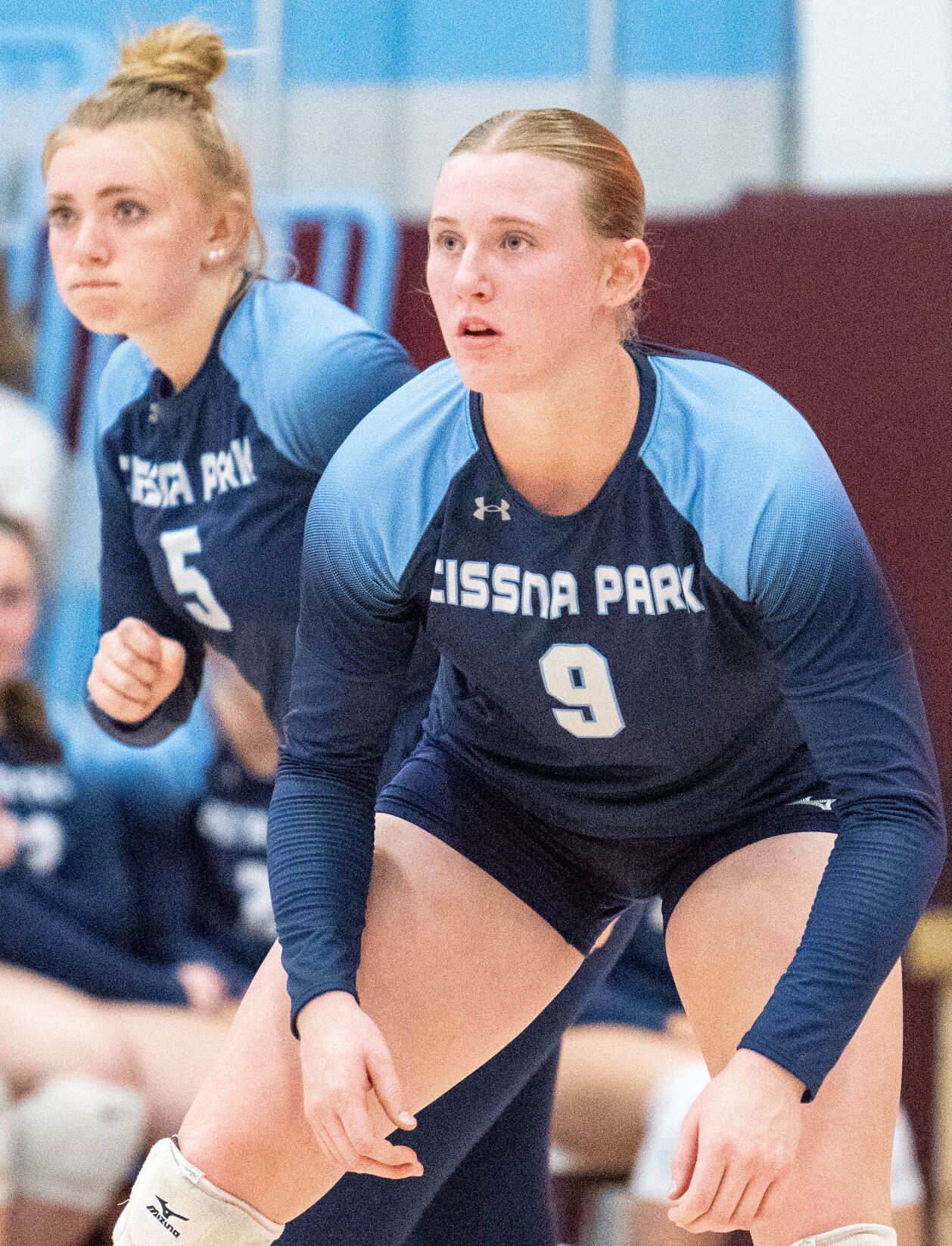 Sweet 16 feeling: Timberwolves last area volleyball team standing ...