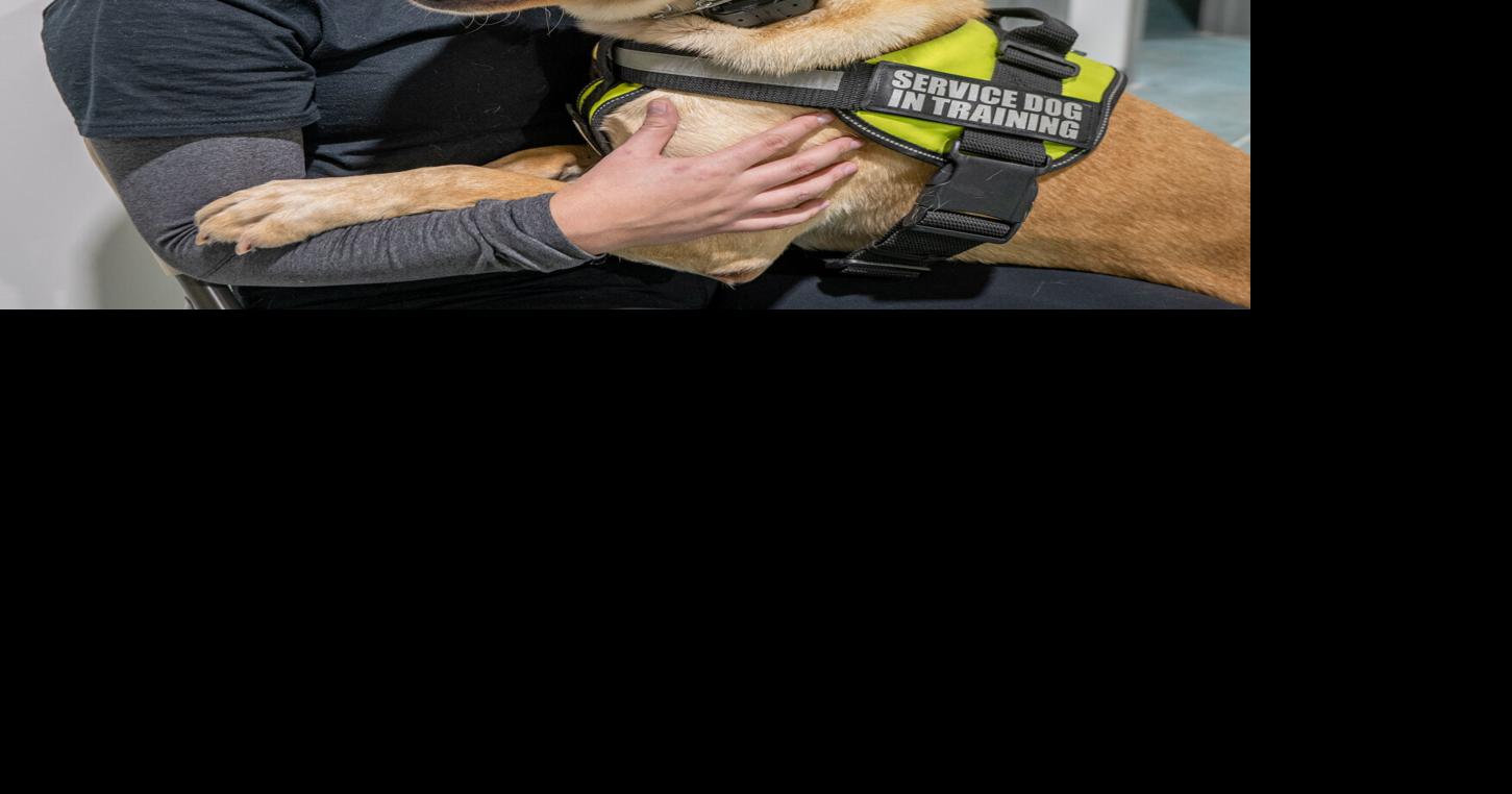 Local veterans get life-saving best friends through Mission K9 Warrior ...