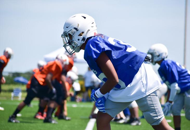 Made in the shade: Rantoul sports complex has another good year | News ...