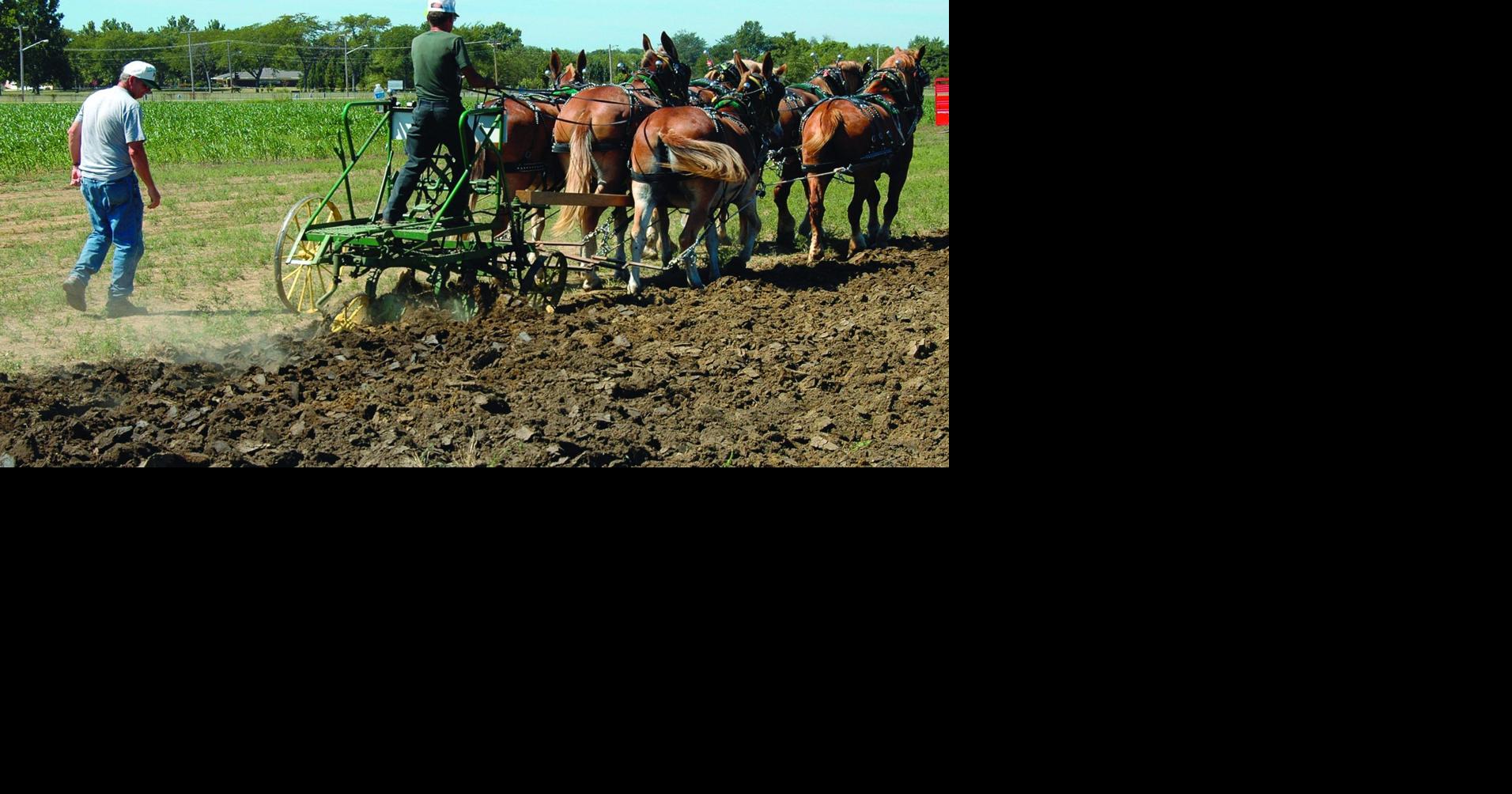 Half Century of Progress show brings in farming enthusiasts | Local ...