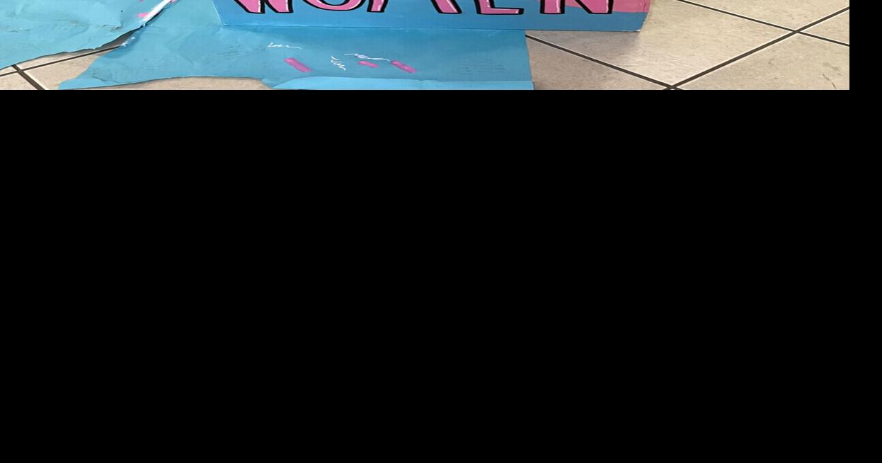 Jim Dey | 'TERF' war in Urbana ends with removal of one sign, debut of ...