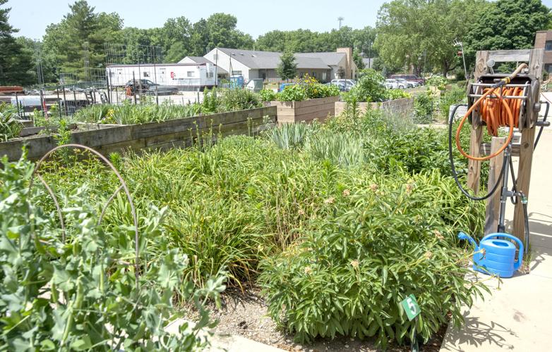 ClarkLindsey residents finding joy in gardening | Gardening | news ...