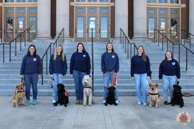 Illini Insider | BrewLab to host dog cafe fundraiser | University ...