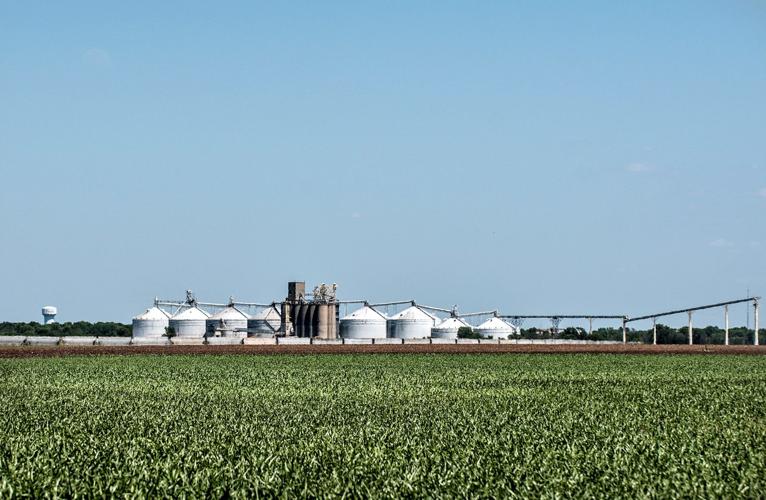 Cronus Chemical 'in a holding pattern' | News | news-gazette.com