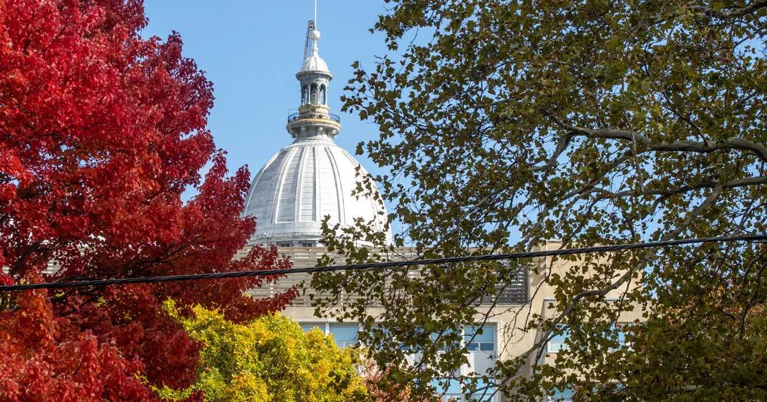 Capitol News Illinois | Illinois lawmakers approve state-specific ...