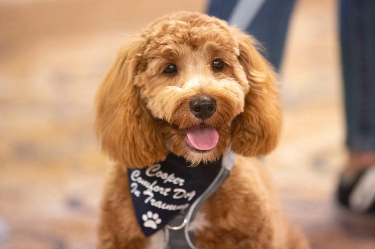 CU Sunrise Rotary inducts canine member | News | news-gazette.com