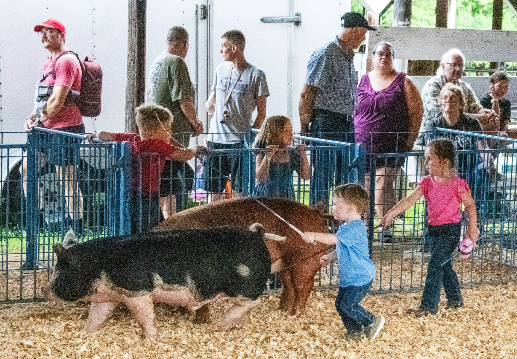 PHOTO GALLERY: Vermilion County Fair | News | news-gazette.com