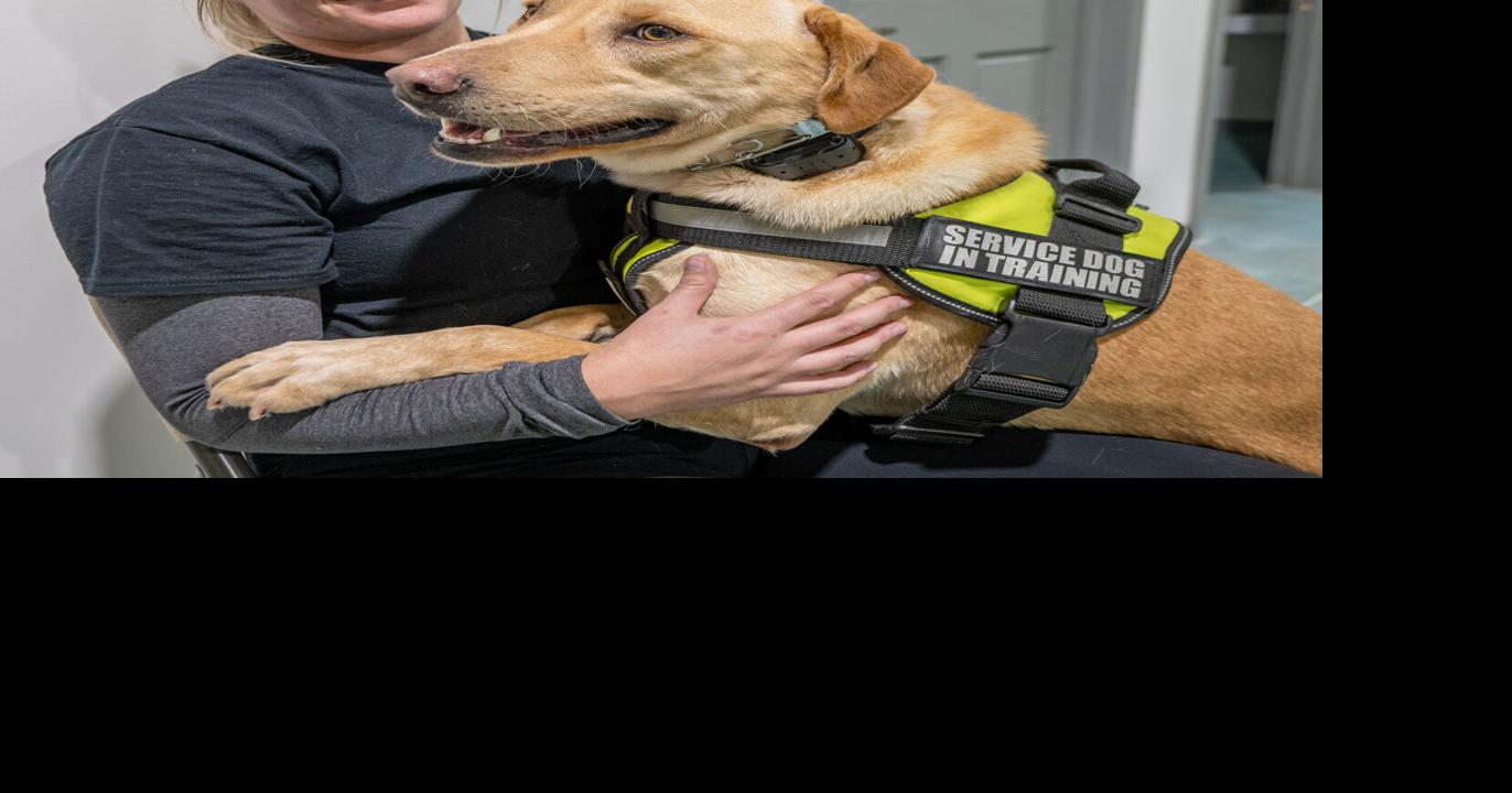 Local veterans get life-saving best friends through Mission K9 Warrior ...