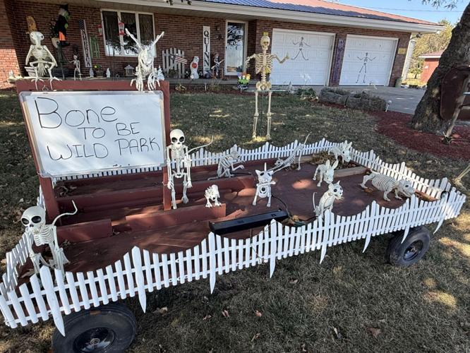 Chrisman skeleton display provides hauntingly good fun | News | news ...