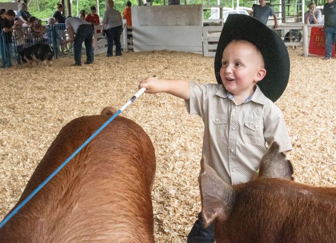 PHOTO GALLERY: Vermilion County Fair | News | news-gazette.com