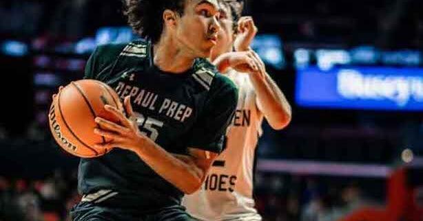 2A boys' basketball state semifinal recap: DePaul 45, Teutopolis 17 ...