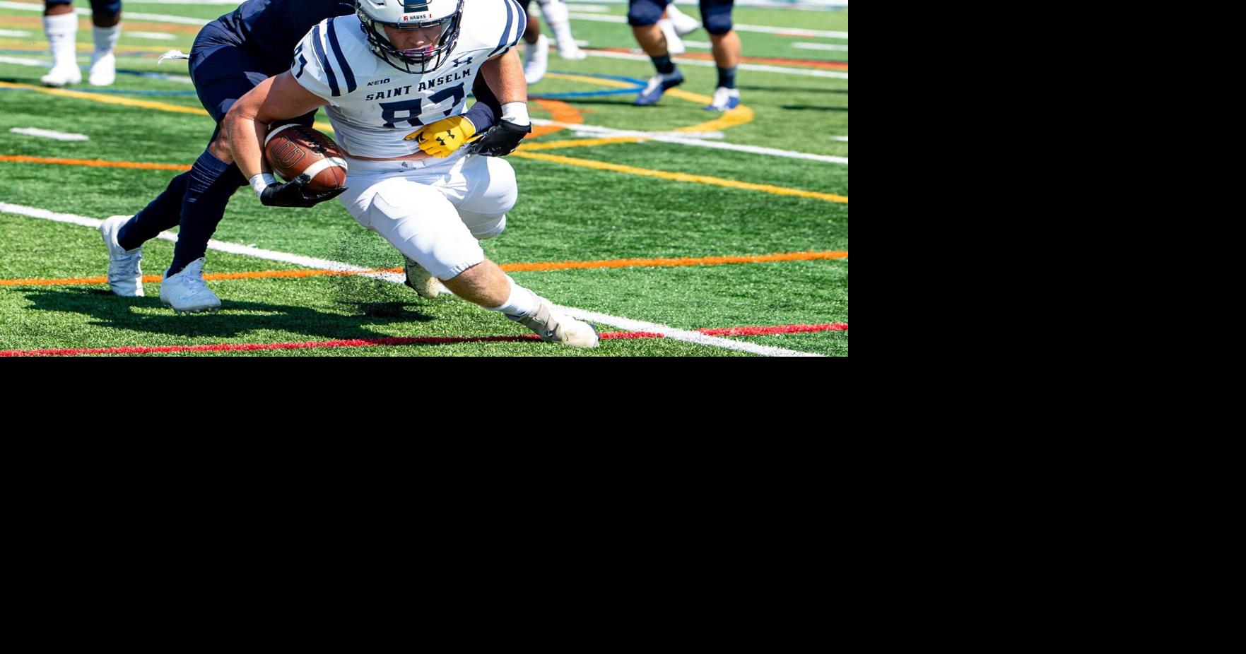 Illinois lands another tight end transfer | Newsletter | news-gazette.com