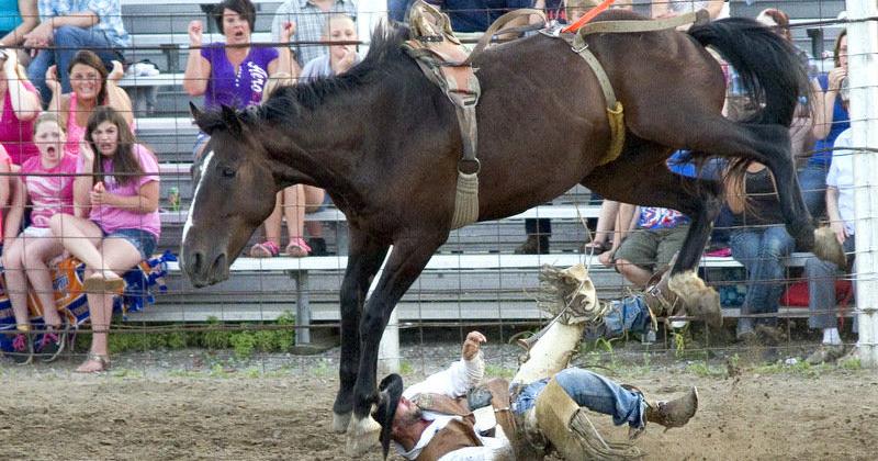 Piatt County Trail Blazers Rodeo | | news-gazette.com
