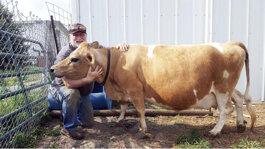 From State Farm to the farm: Loda man milking his retirement ...