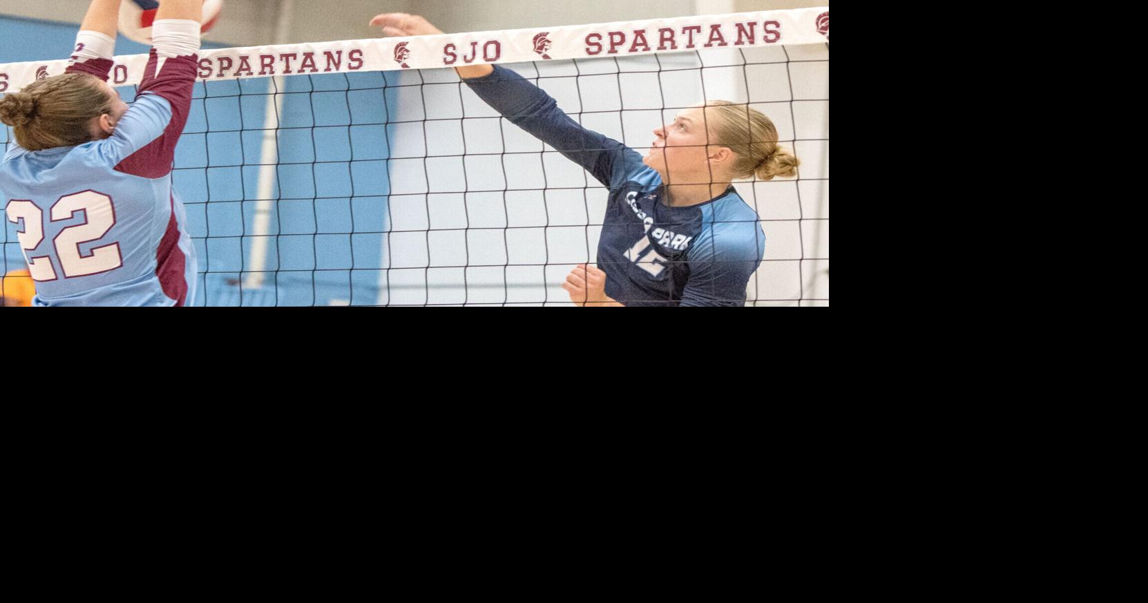 The News-Gazette’s volleyball Top 10: Timberwolves, Bulldogs a step ...