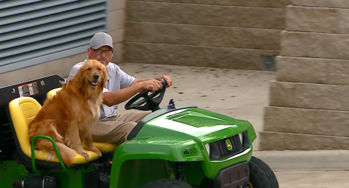 Eye Piece: Bond between supervisor and dog brings joy to retirement ...