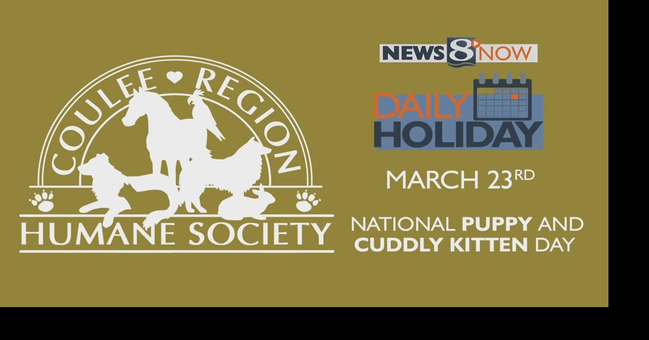 Daily Holiday – National Puppy Day & Cuddly Kitten Day | Features ...