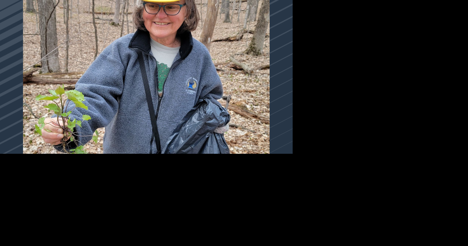 Wisconsin DNR asks public to avoid spreading invasive species ...
