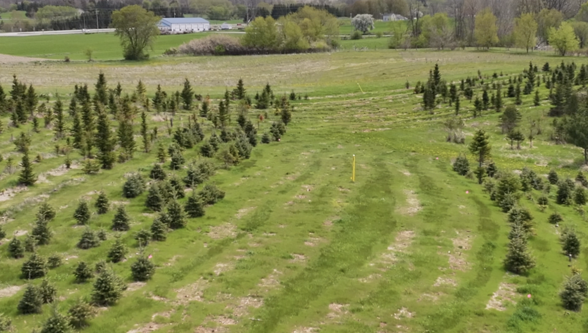 Wisconsin Christmas tree farm fights back after pipeline company cuts ...