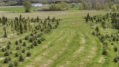 Wisconsin Christmas tree farm fights back after pipeline company cuts ...