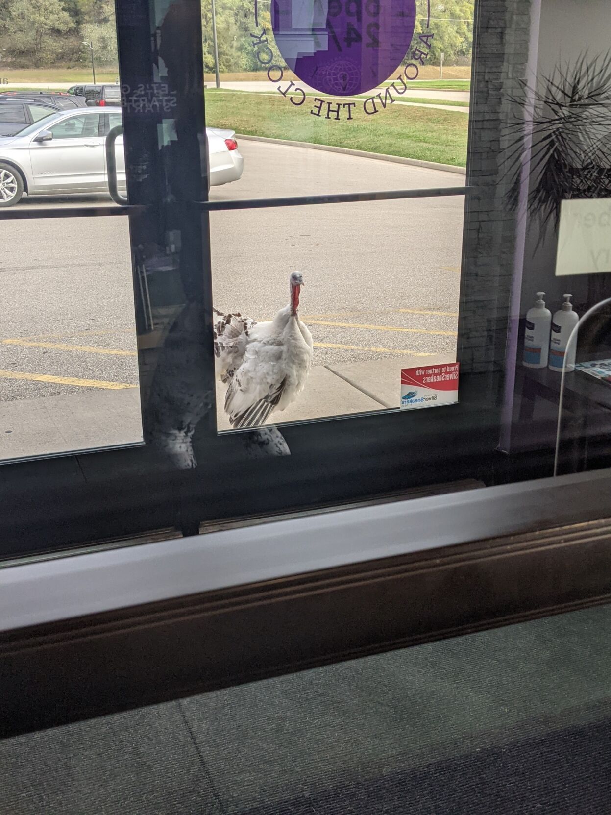 Sparta gym turns away turkey for committing fitness fowl | Local News ...