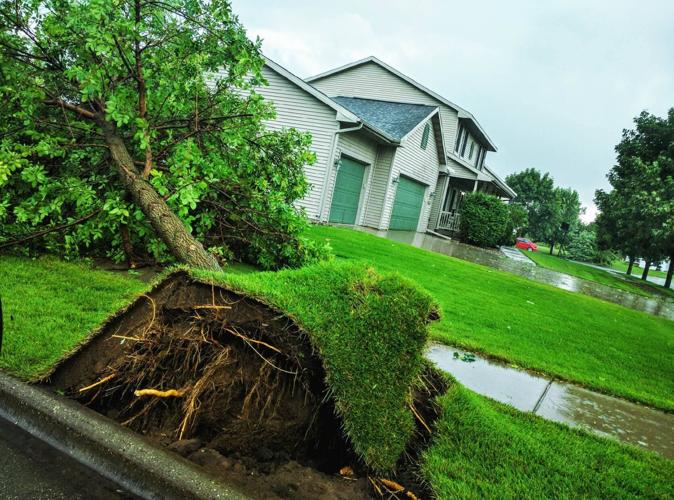 PHOTOS: Flooding, trees down from storm | Local News | news8000.com