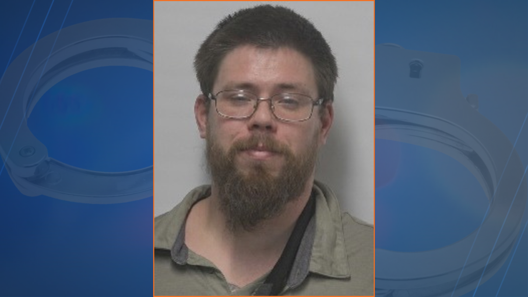 Wauzeka man formally charged in hit-and-run that injured woman, dog ...