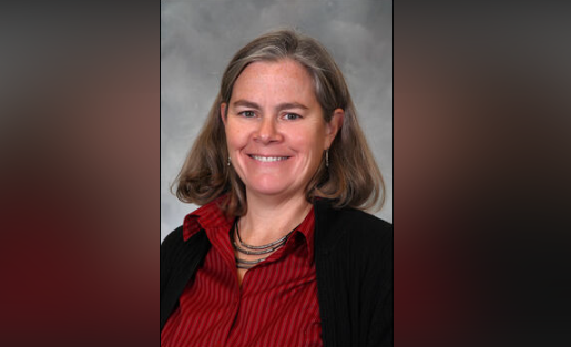 Tara Johnson wins 96th Assembly District race | Elections | news8000.com