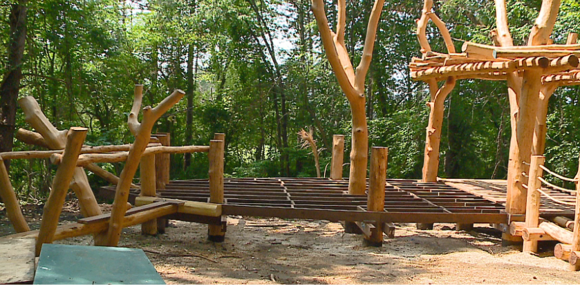 Universally accessible treehouse built in La Crosse's Chad Erickson ...