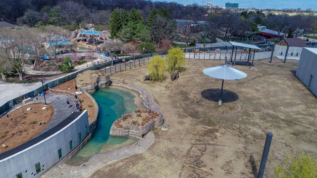 Milwaukee County Zoo Elephants