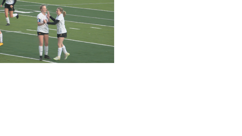 Tomah Timberwolves | news8000.com