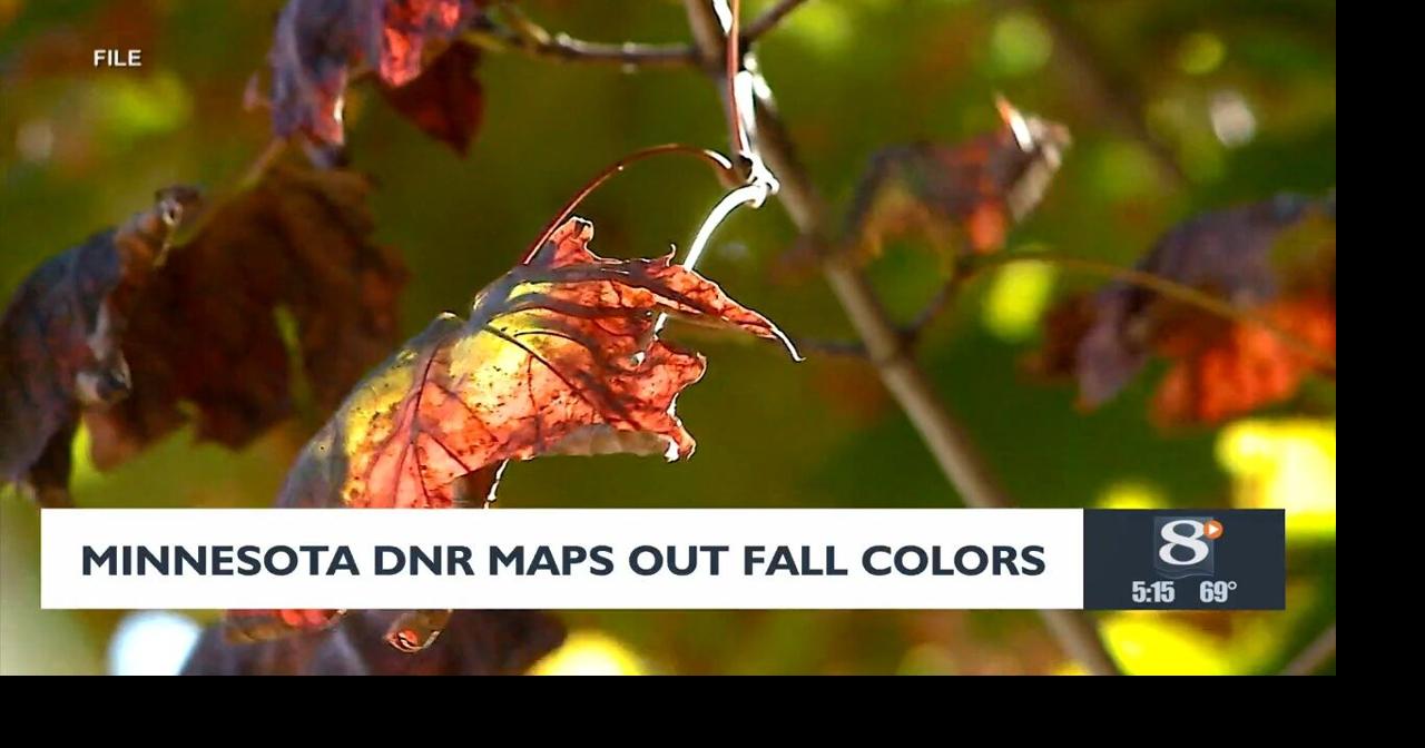 Minnesota DNR maps out fall colors | News | news8000.com