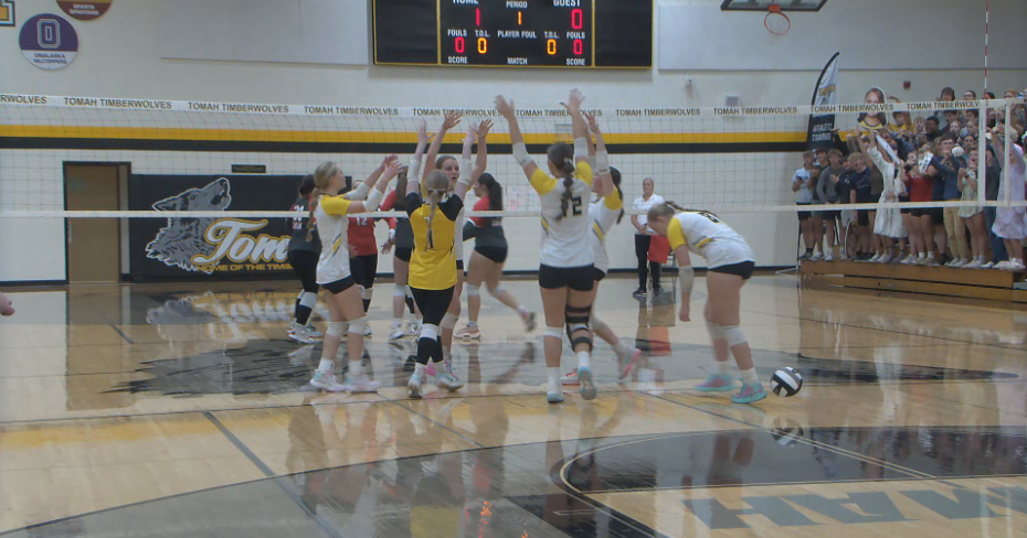 Timberwolves pick up senior night sweep of Logan | Tomah Timberwolves ...