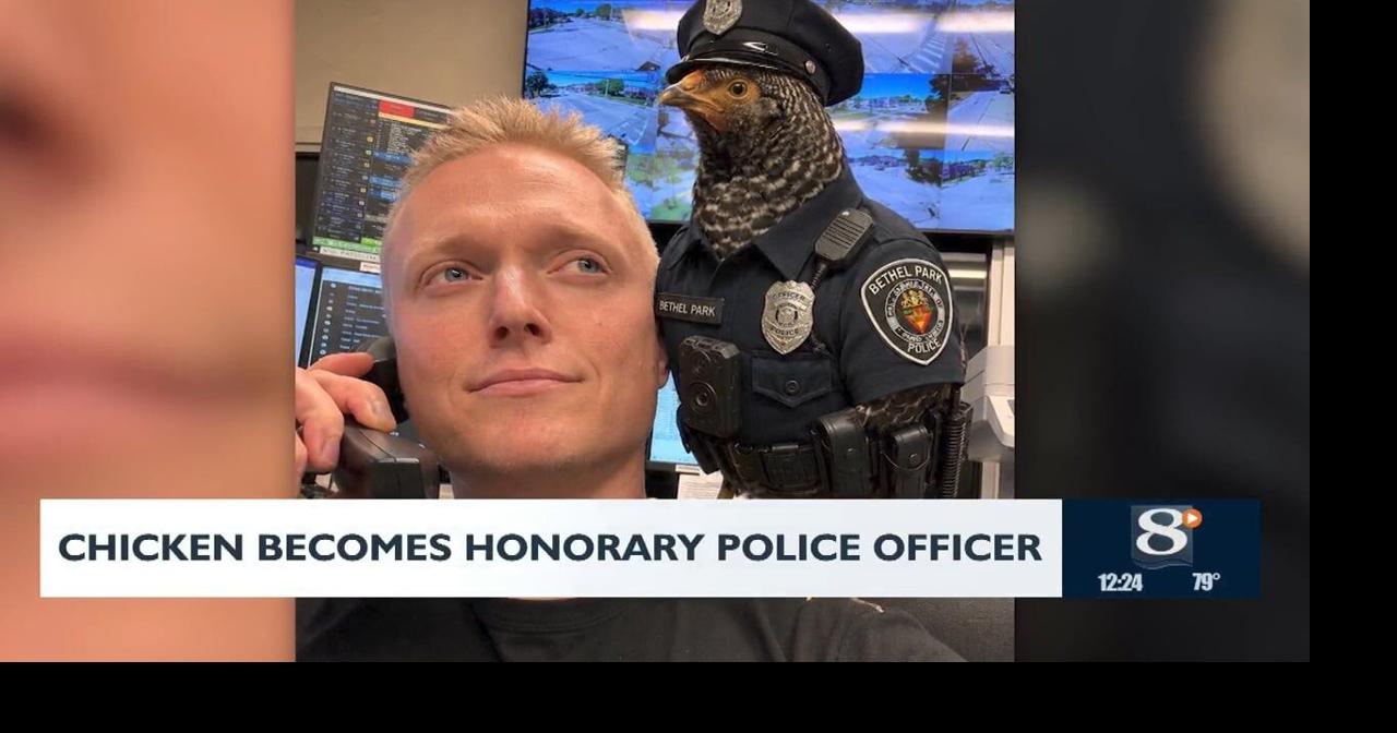 Chicken becomes honorary police officer | News | news8000.com