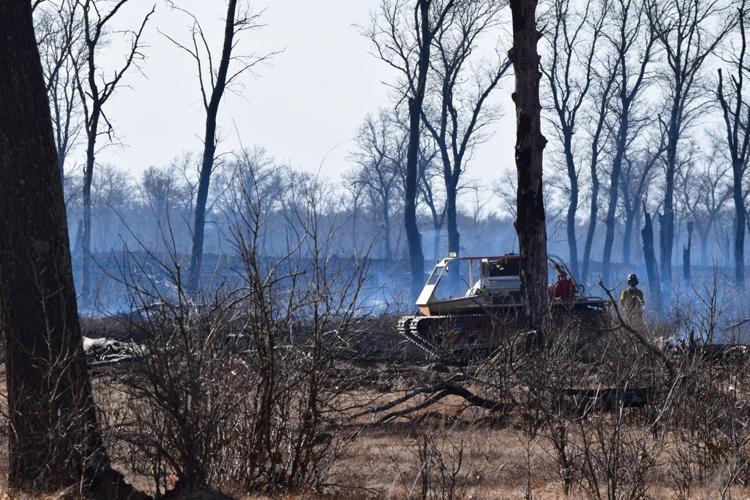 Wildfire at Necedah Wildlife Refuge burns 240 acres | Top Stories ...