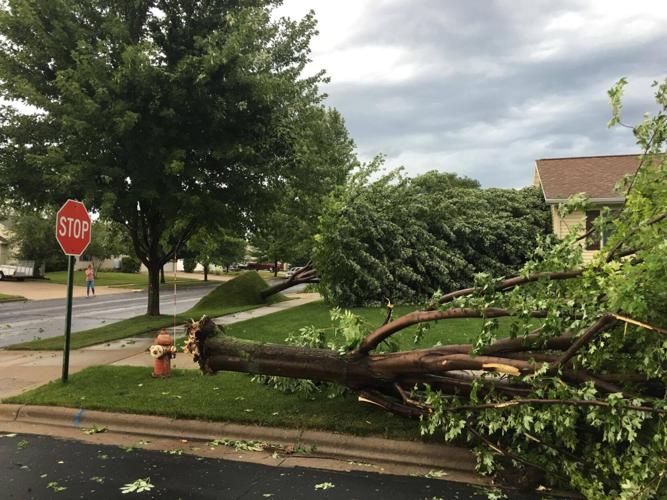 PHOTOS: Flooding, trees down from storm | Local News | news8000.com