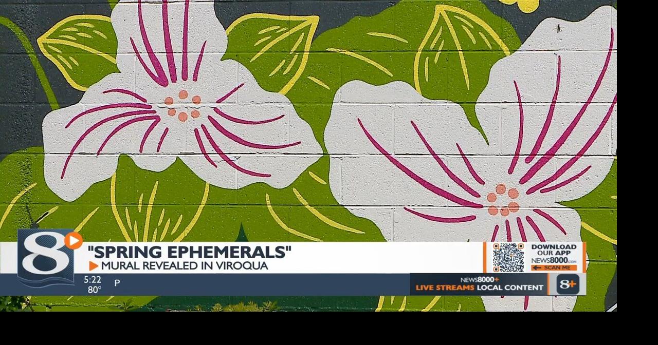 “Spring Ephemerals” mural revealed in Viroqua | Entertainment ...