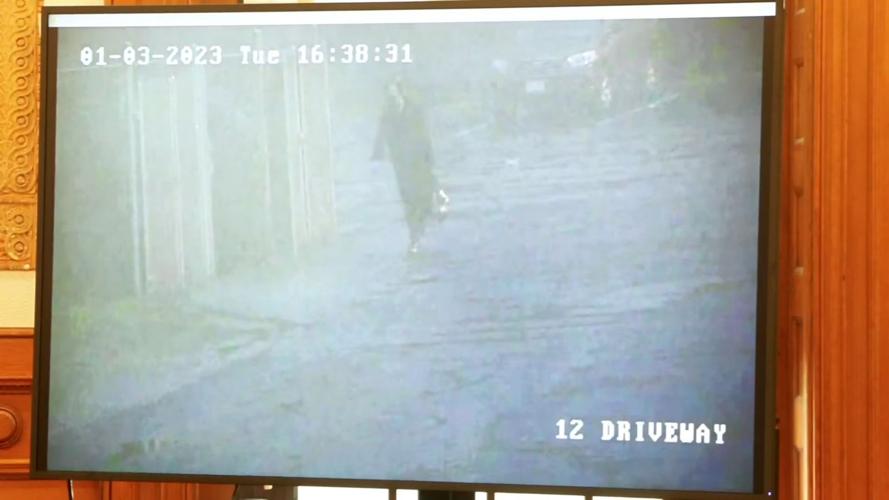 The jury in Brian Walshe’s murder trial heard testimony from the man ...