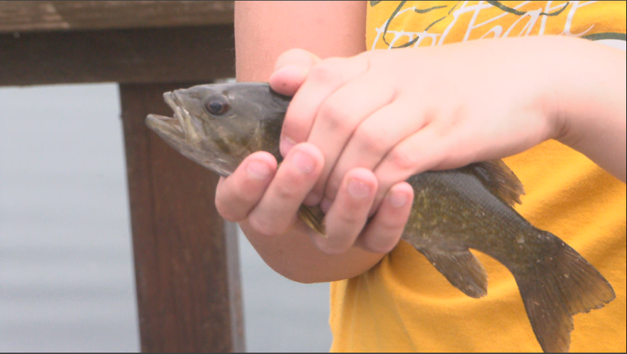 La Crosse Lions Club hosts 9th annual 'Fishability' kids event | La ...