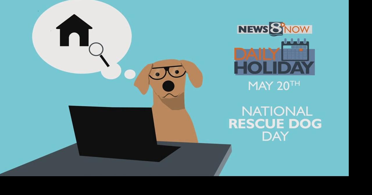 Daily Holiday – National Dog Rescue Day | Features | news8000.com
