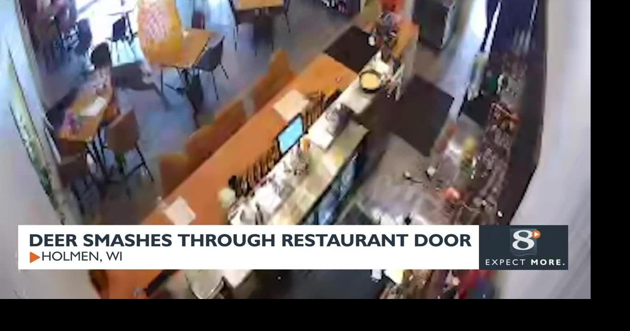 Deer smashes through restaurant door | News | news8000.com