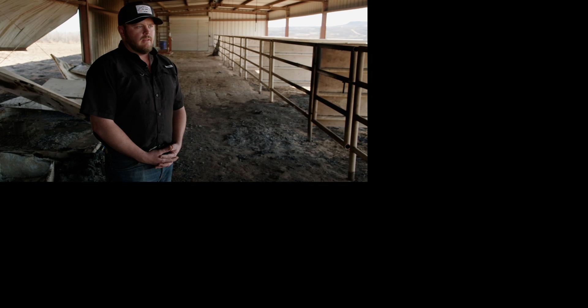 Wildfires have devastated the Texas cattle industry and the effects may ...