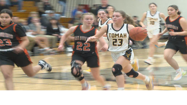 Tomah Timberwolves | news8000.com