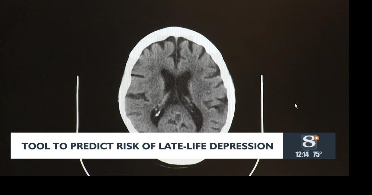 Tool to predict risk of late-life depression | Health | news8000.com